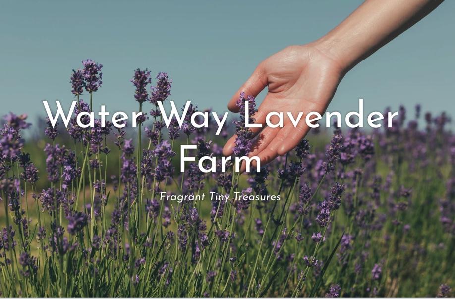 Products – Water Way Lavender Farm